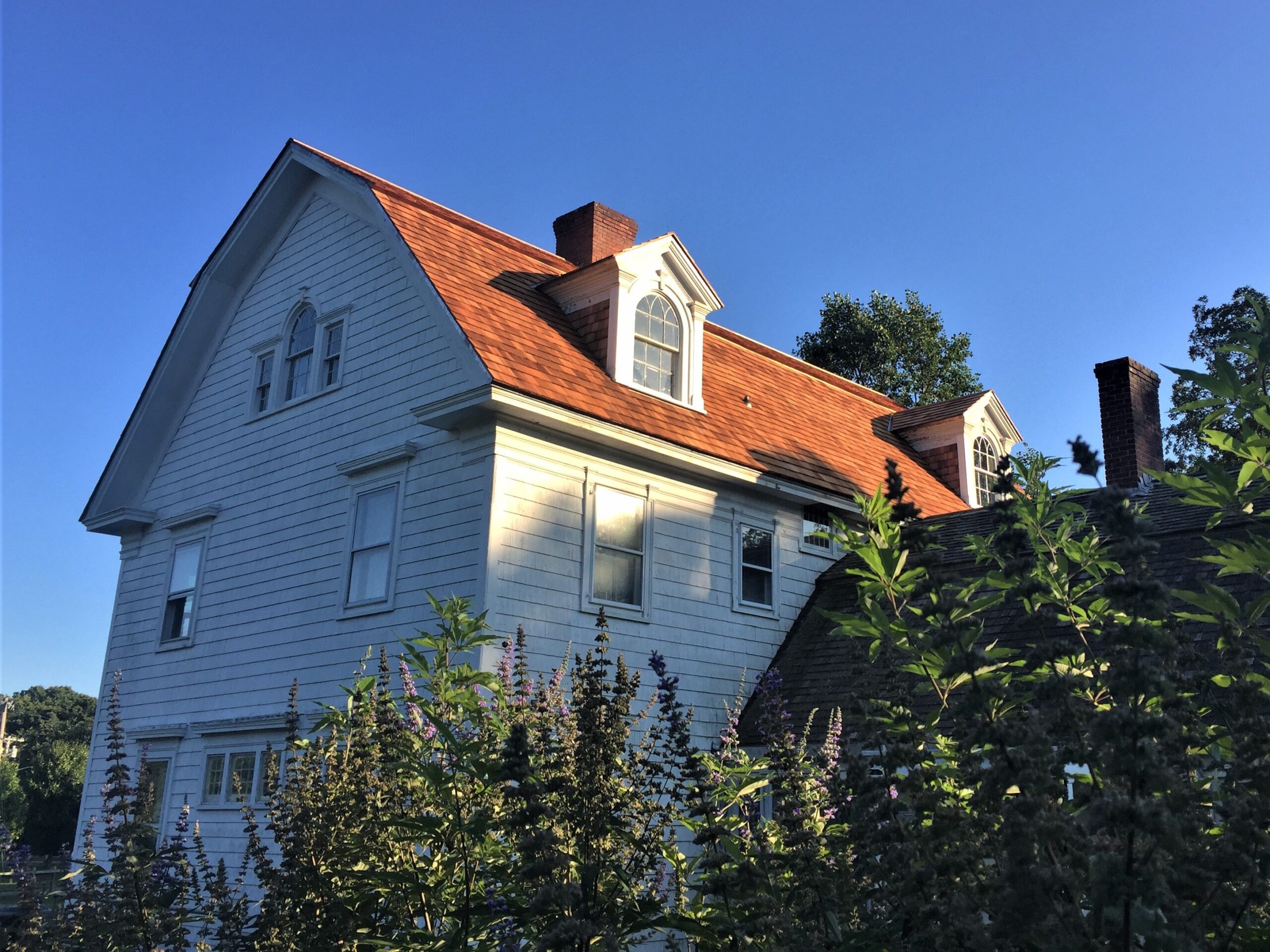 Havens Homestead Newsletter – Havens Homestead